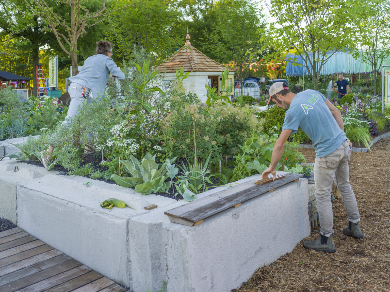 About Us | Apiary Studio