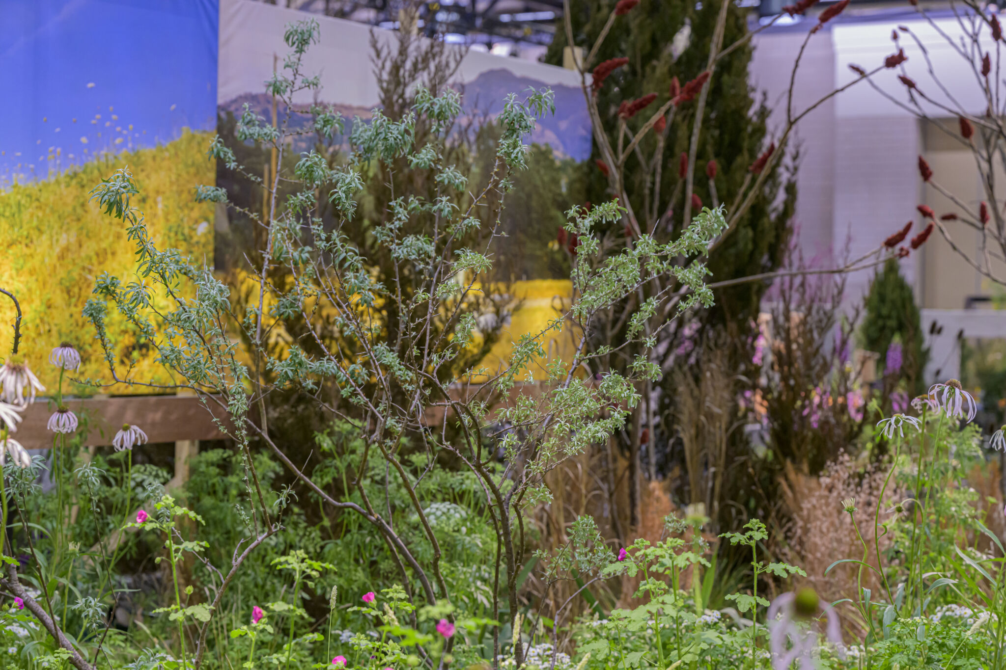 Right of Way | Apiary Studio